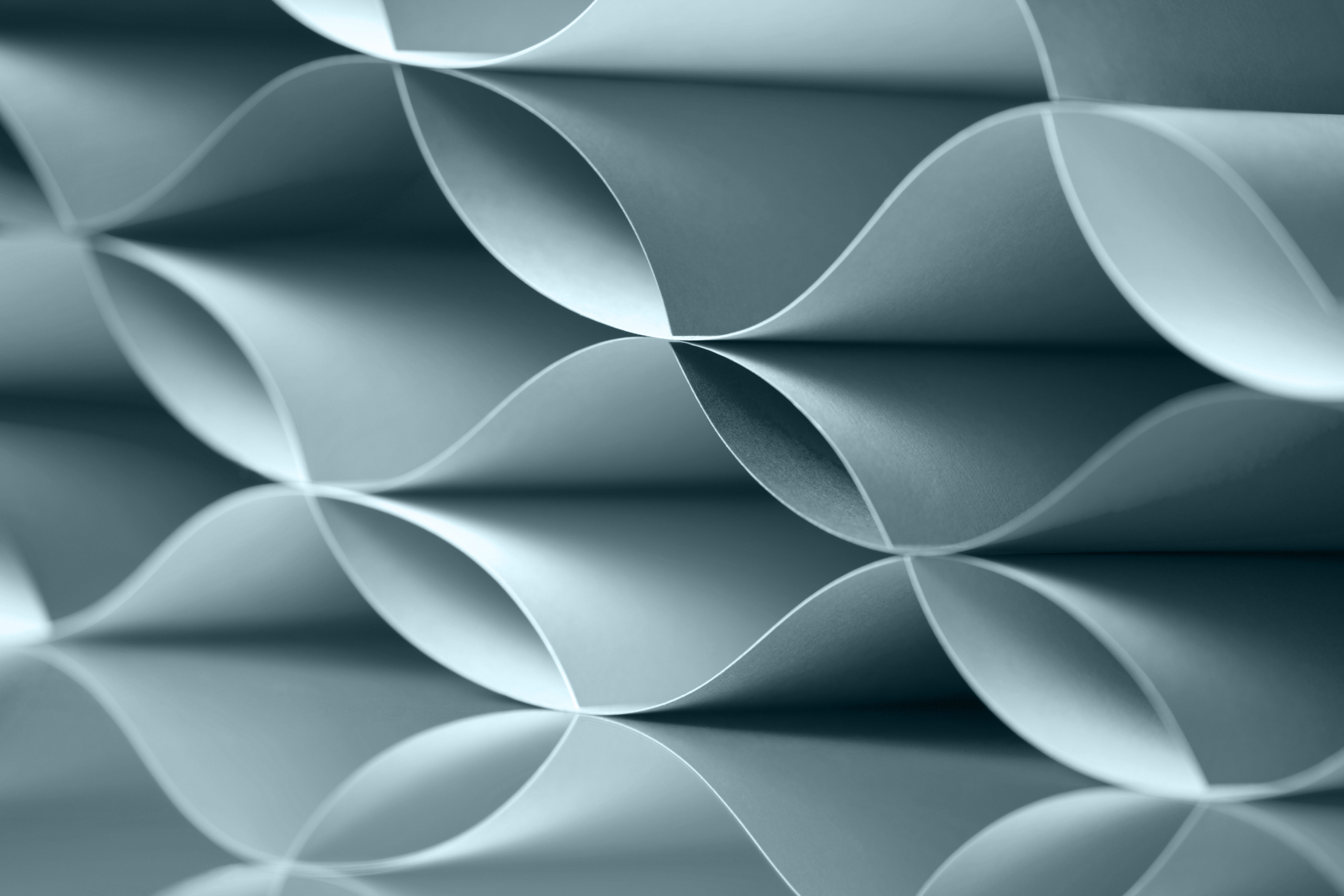 WorkOut - Schaffer Consulting